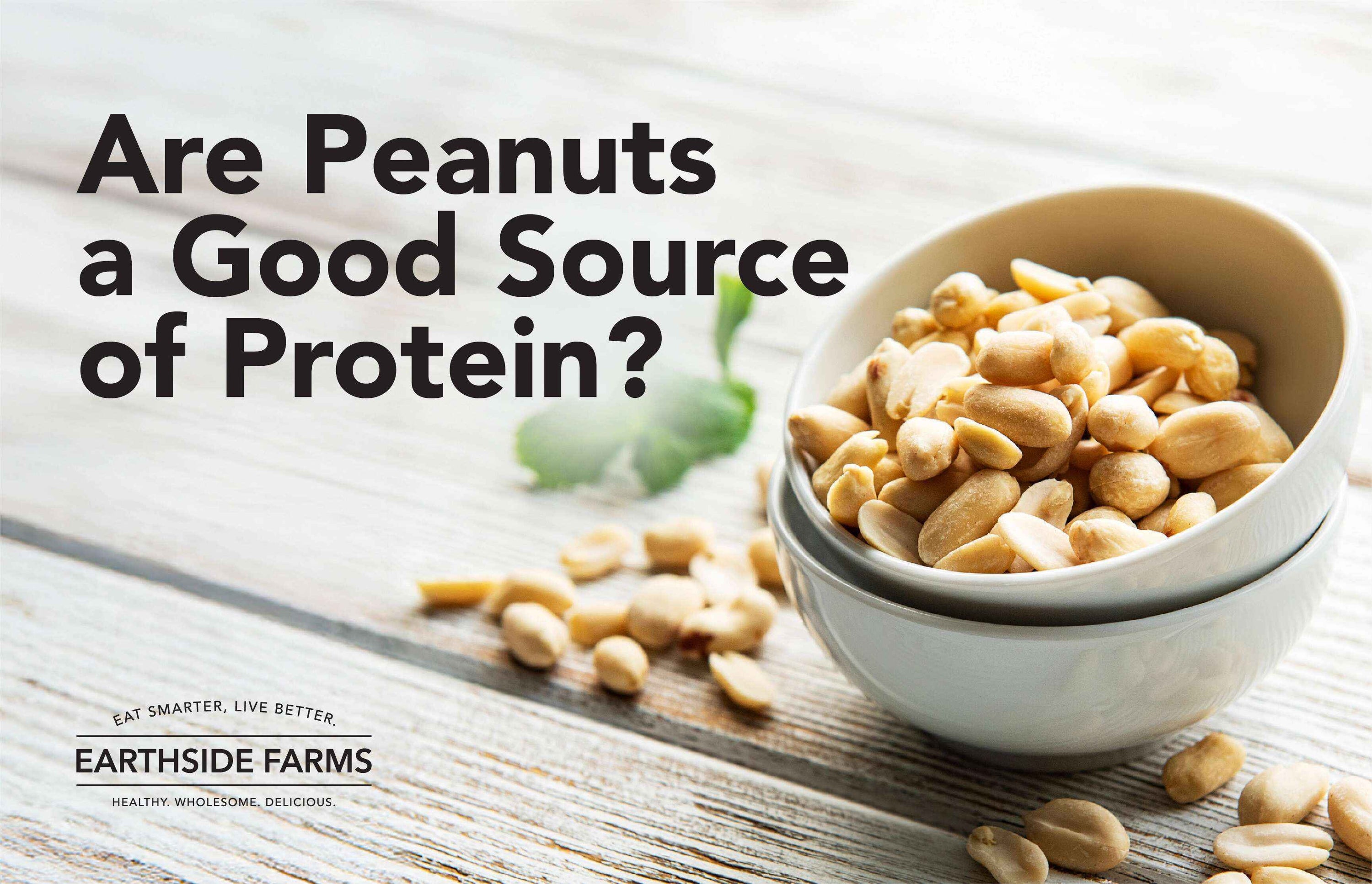 Are Peanuts a Good Source of Protein? – Earthside Farms