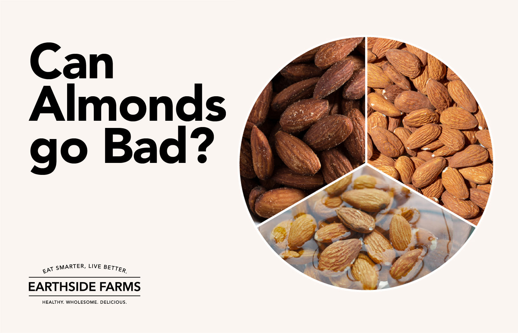 Can Almonds go Bad? – Earthside Farms