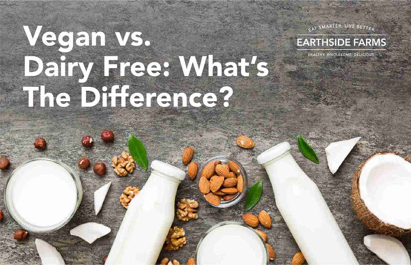 Is Vegan Dairy Free? - What's The Difference – Earthside Farms